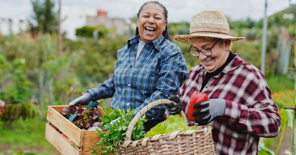 6 Great Side Jobs if You’re Retired but Bored