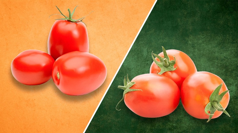 Roma Vs Plum Tomatoes: What's The Difference?
