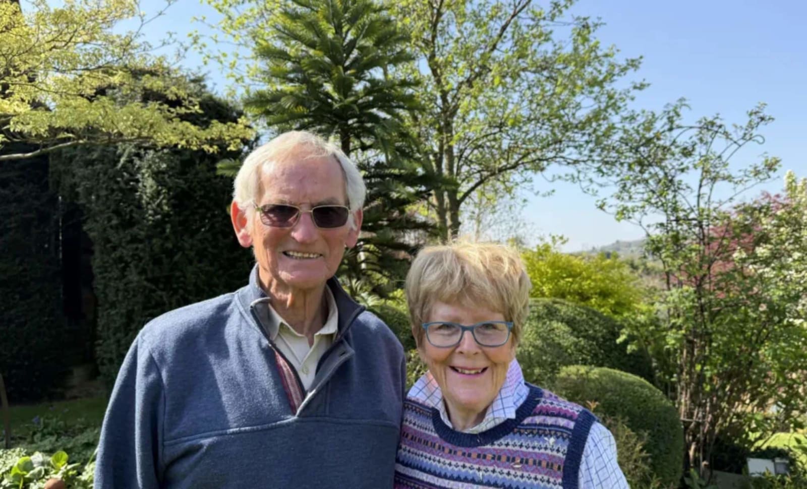 The World’s Rarest Tree That Survived the Dinosaurs Is Now Bearing ...