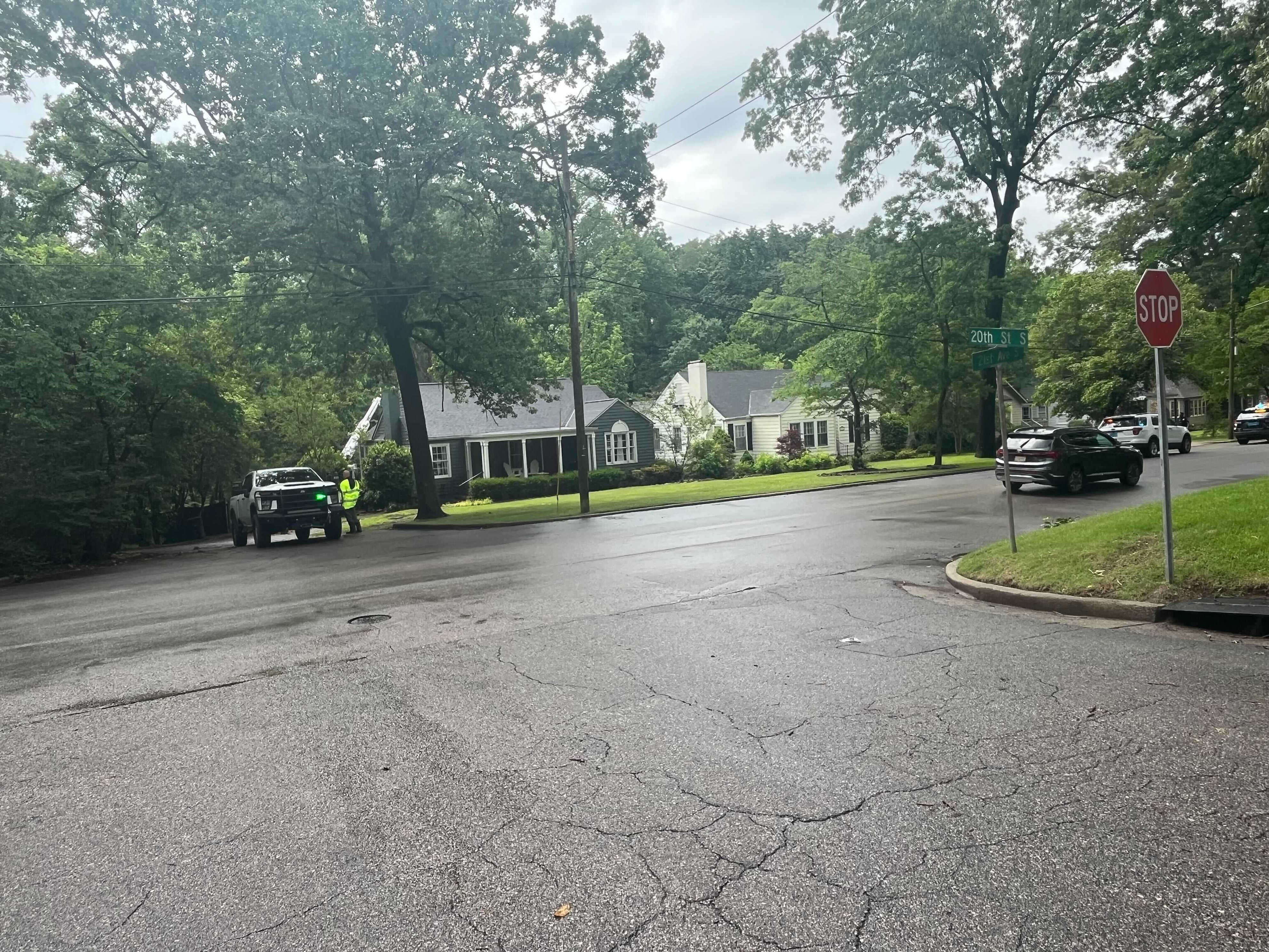 Worker killed, another person injured after being hit by falling tree ...