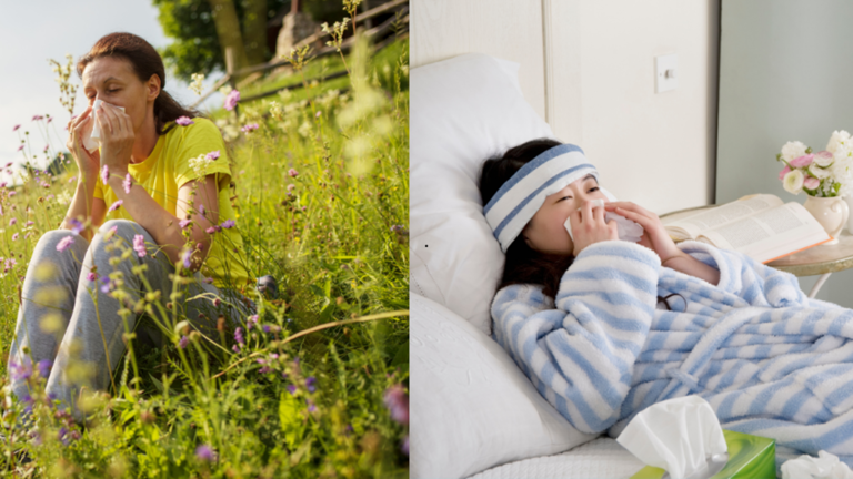 How To Know If You Have A Cold Or A Pollen Allergy?