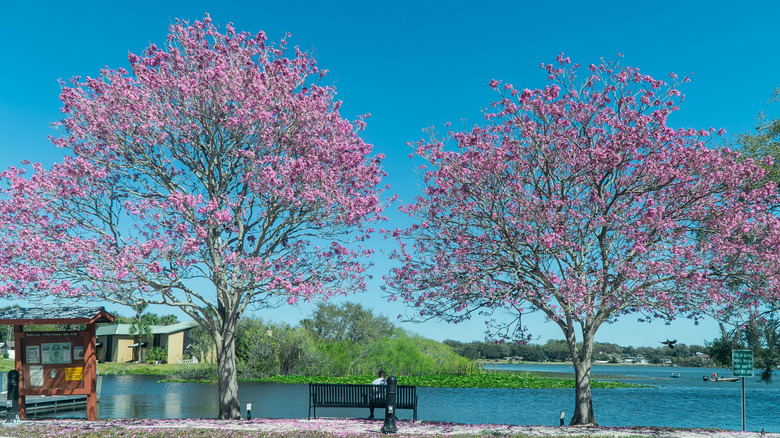 A Lakeside Florida City Near Orlando Is A Hub Of Historic Sites, A ...