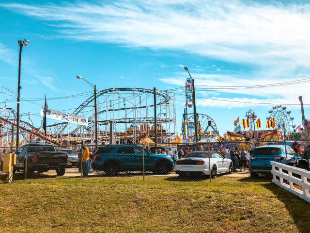 Florida strawberries & more: 15 cool places to visit in February