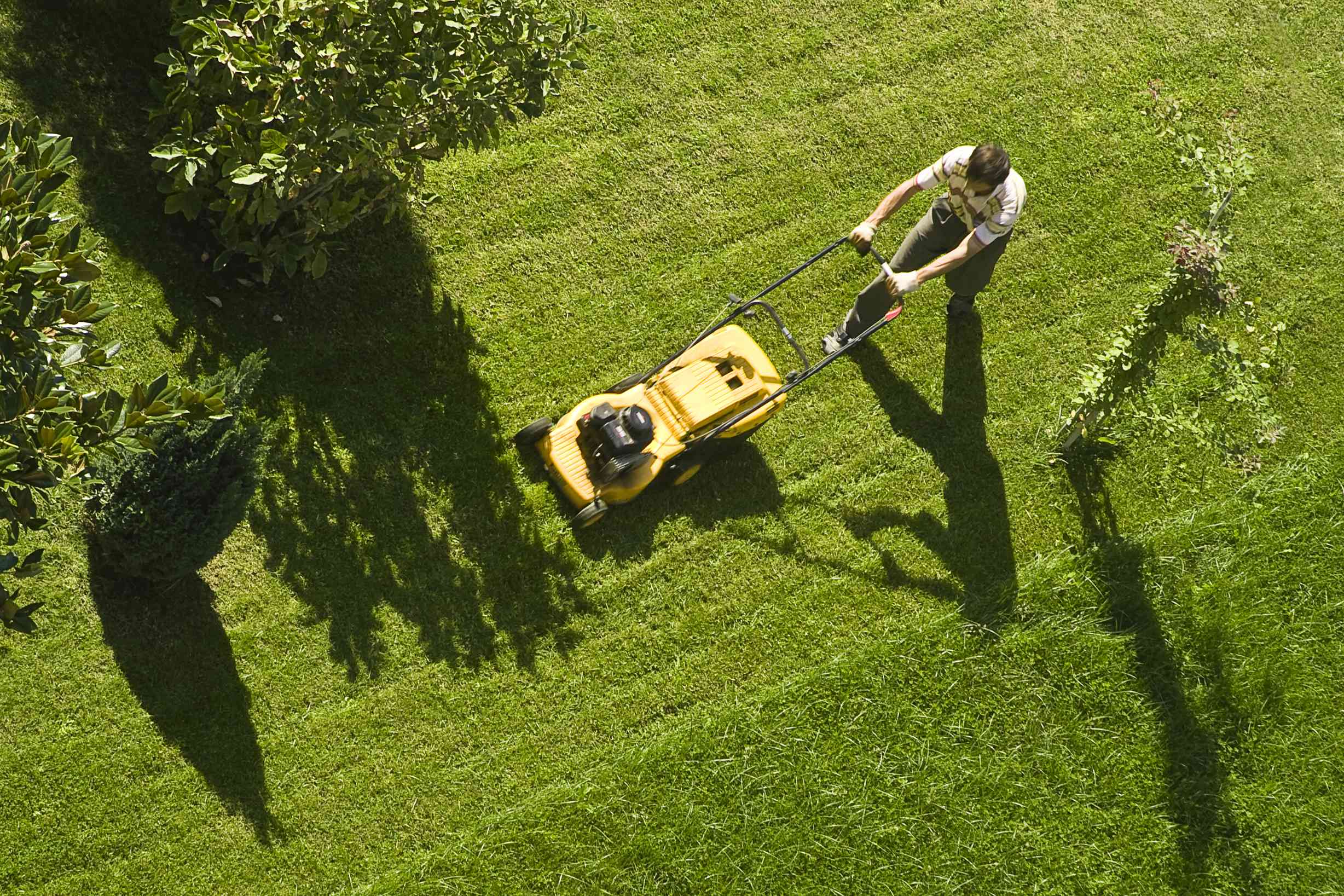 5 Lawn Care Mistakes That Are Making Your Yard Look Bad