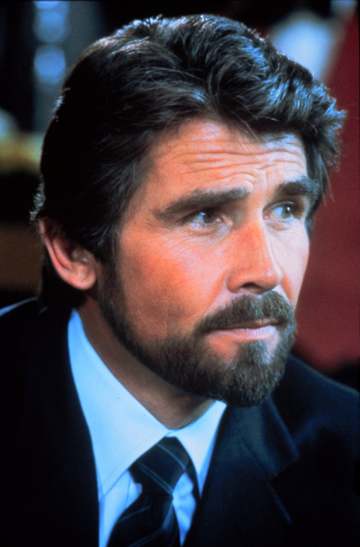 I'll never be able to unsee the resemblance between Timothée Chalamet ...