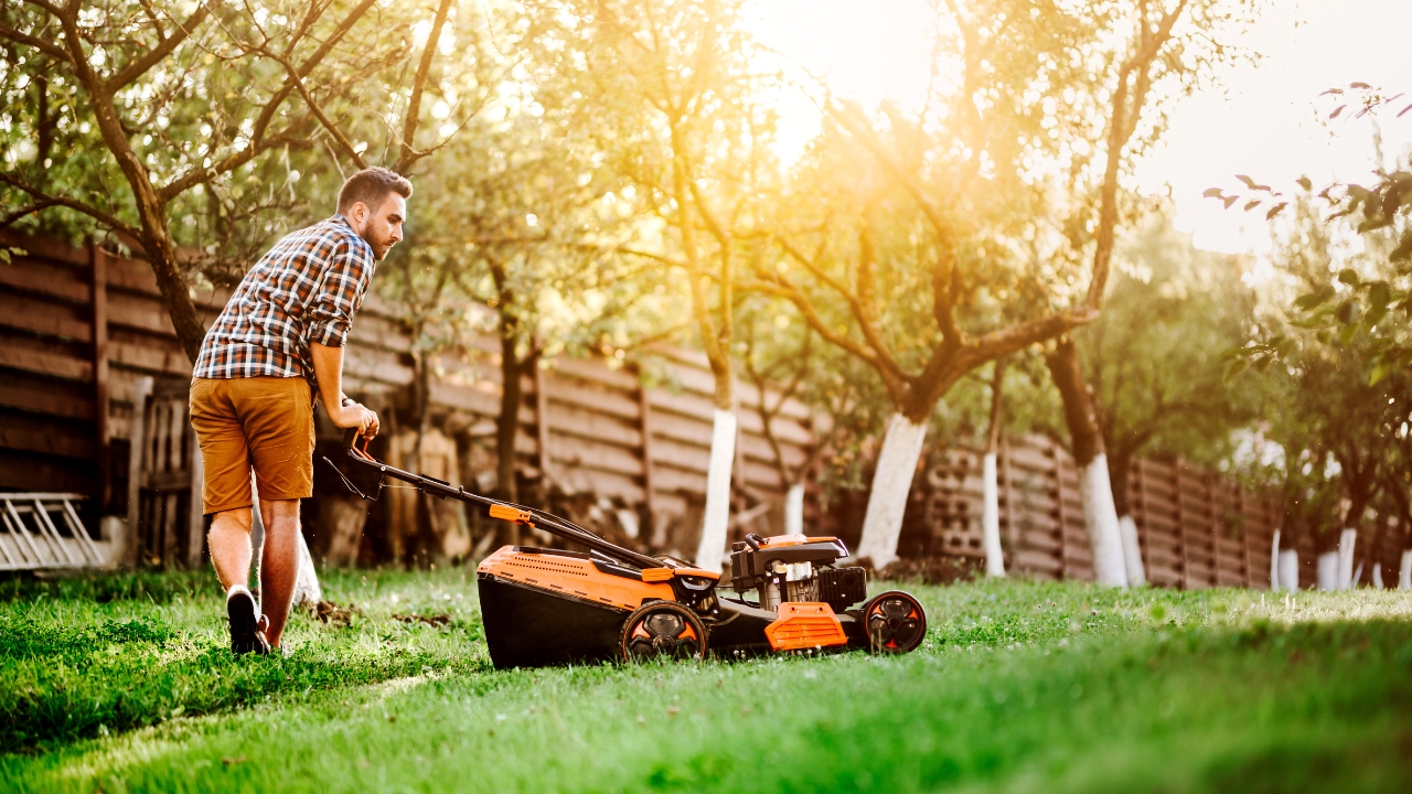 How to tame overgrown landscaping without hiring help