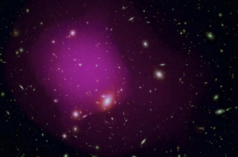 Saturday Citations: Cancer precursor cell identified; Webb spots more ...