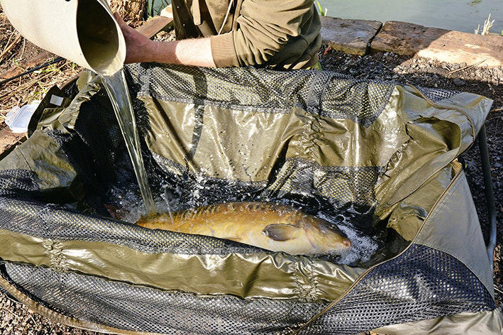 How to weigh fish safely and accurately