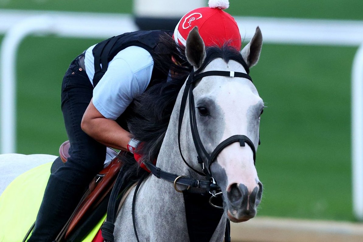 Meet the 19 horses racing in Saturday's Kentucky Derby