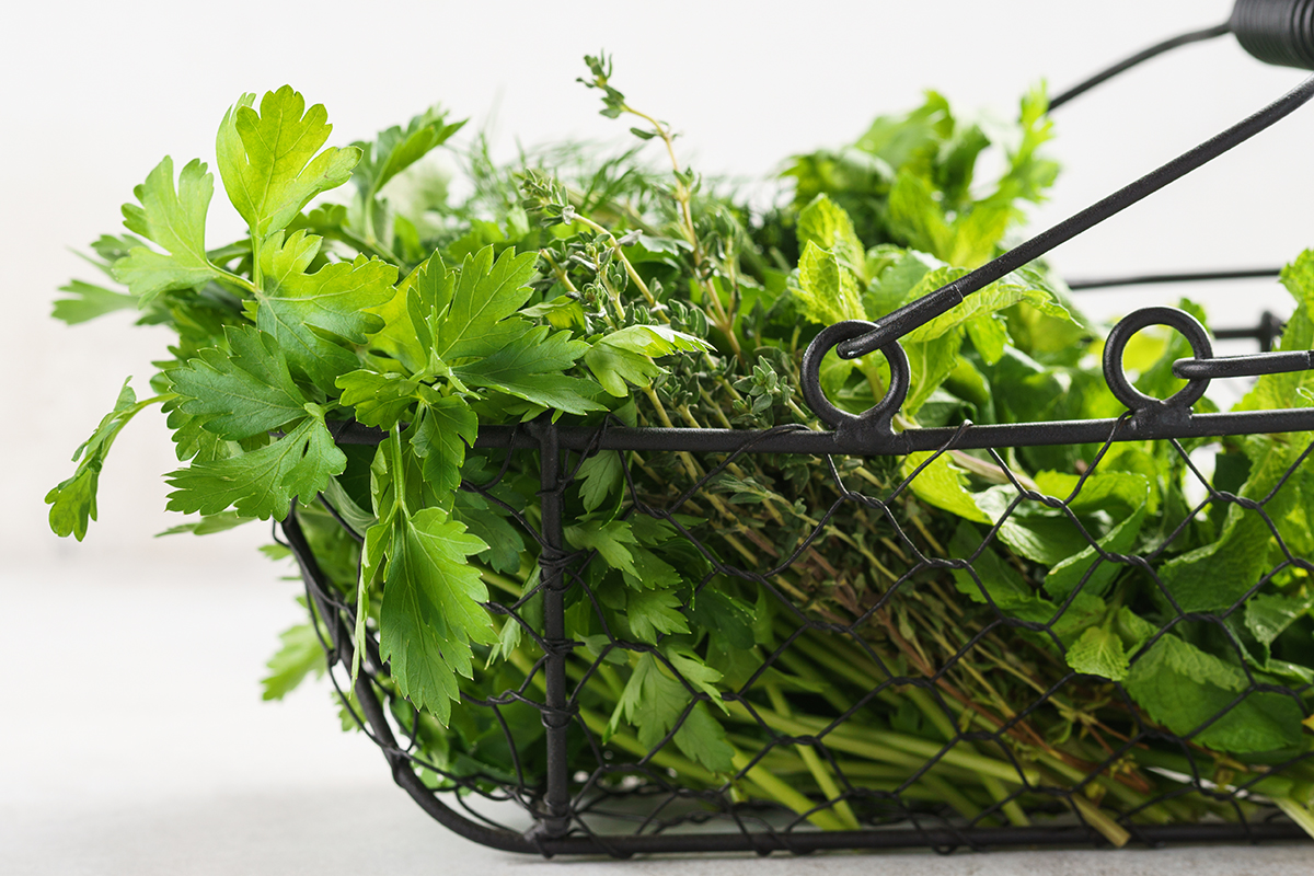 The Right Way to Store Fresh Herbs (So They Don’t Die in Two Days)