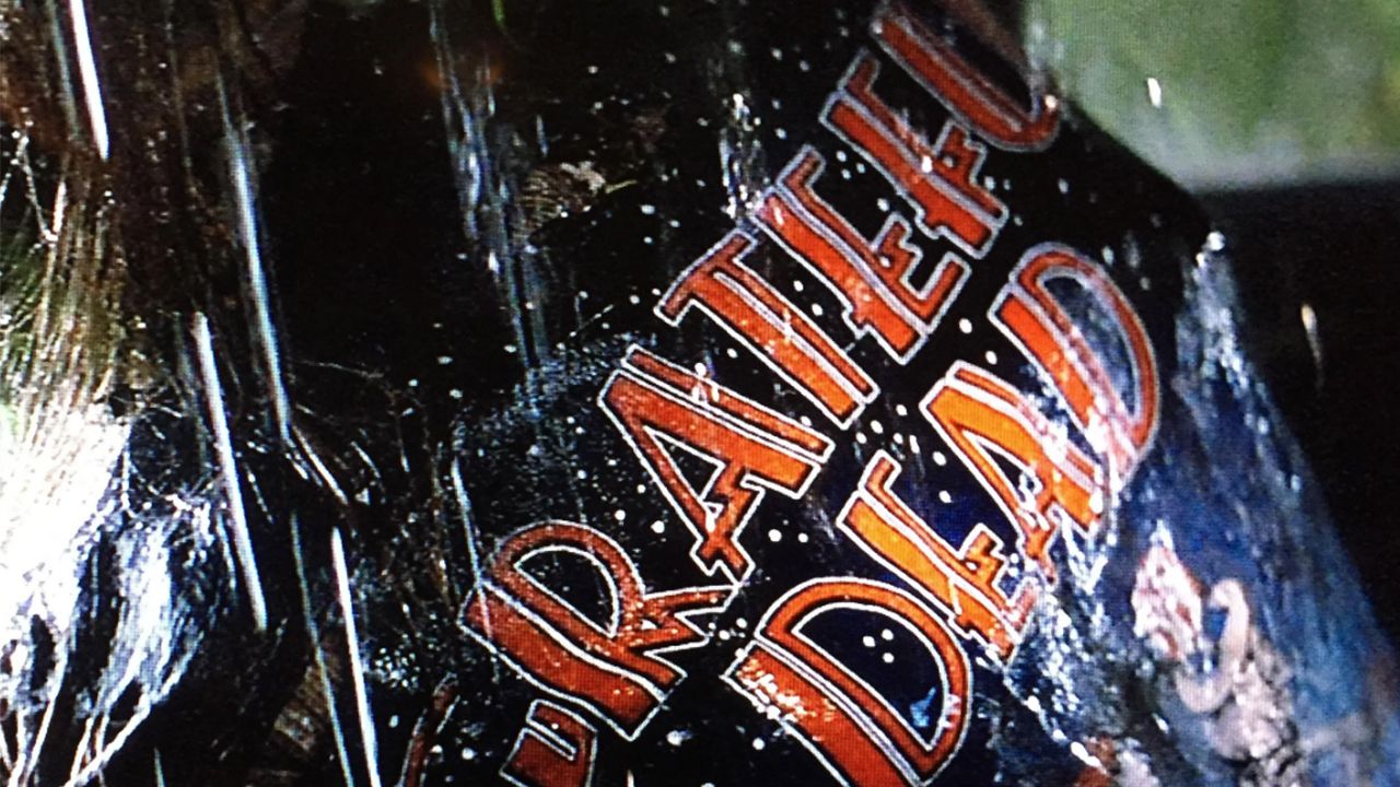 Movies and TV shows that reference the Grateful Dead