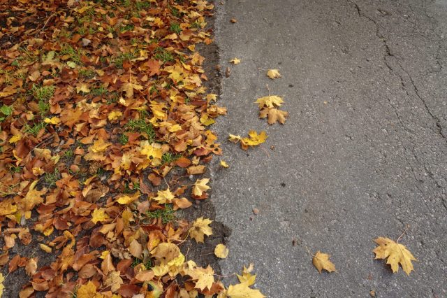 Landscaper sparks heated debate after video captures controversial ...