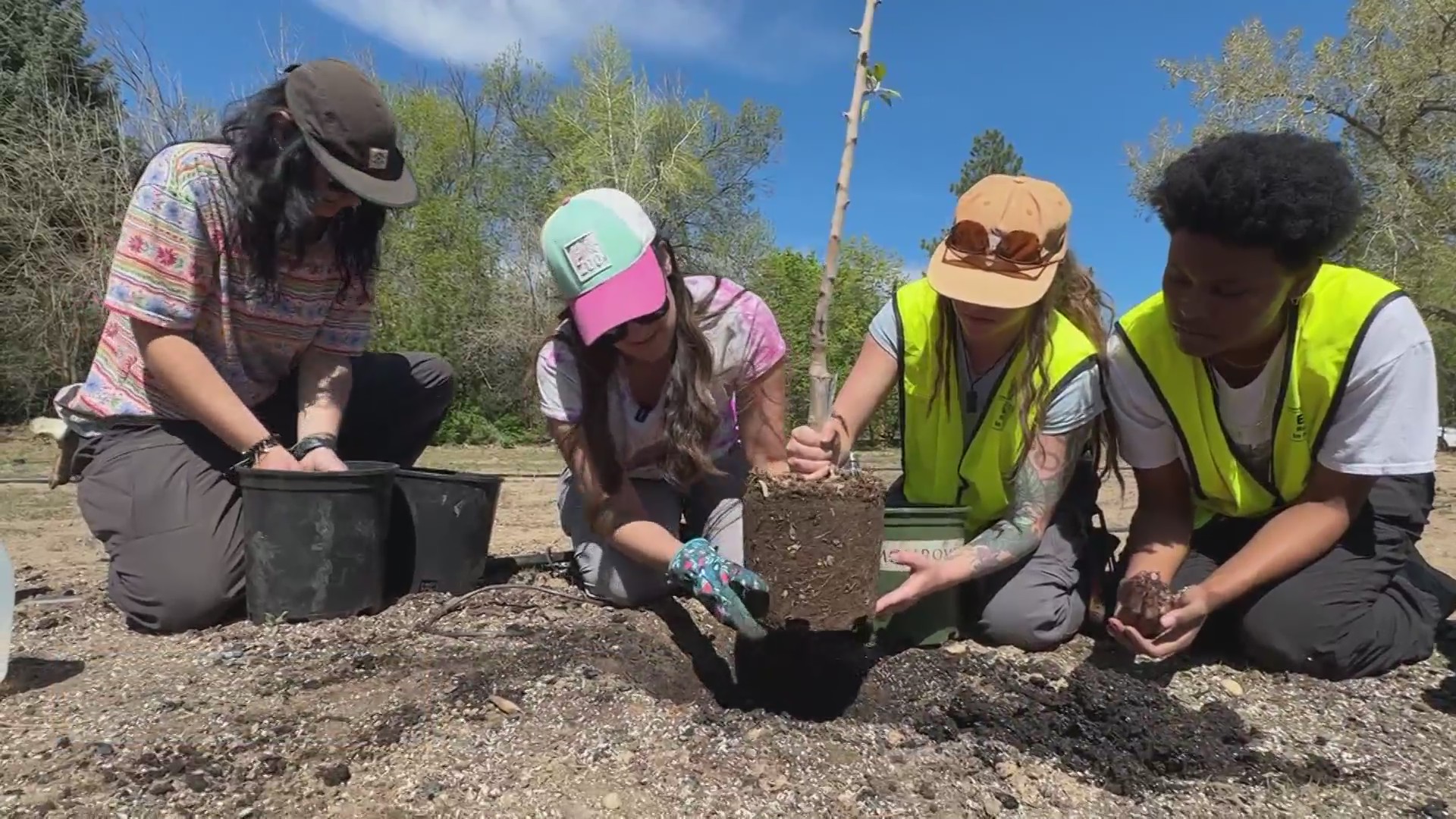 University of Colorado students research oldest apple trees