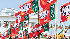 BJP set to announce new party president after August 15, four ...