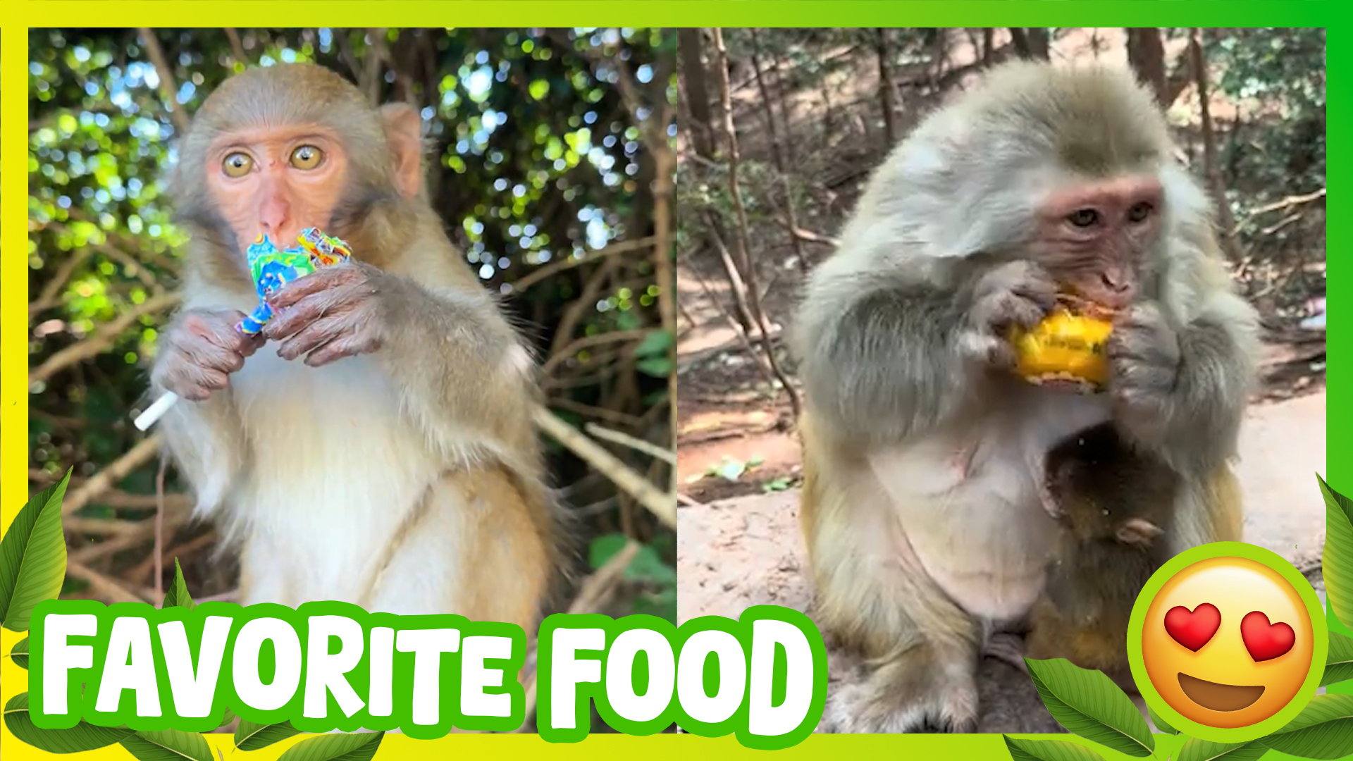 Monkey Enjoys His Favorite Food 🐵🍌 | Cute and Funny Eating Moments