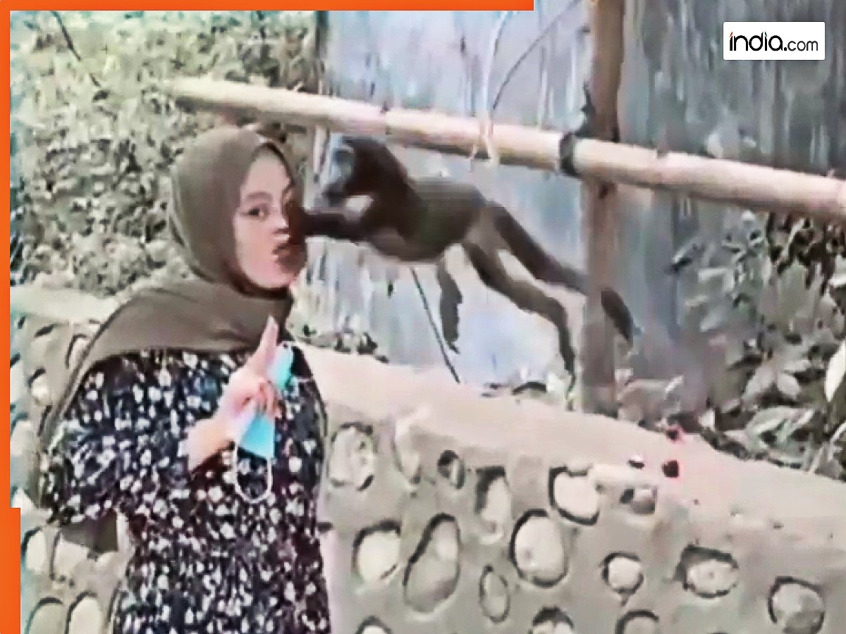 Bandar Ka Video: बंदर के सामने मस्ती कर रही थी लड़की, फिर जो हुआ हंसी ...