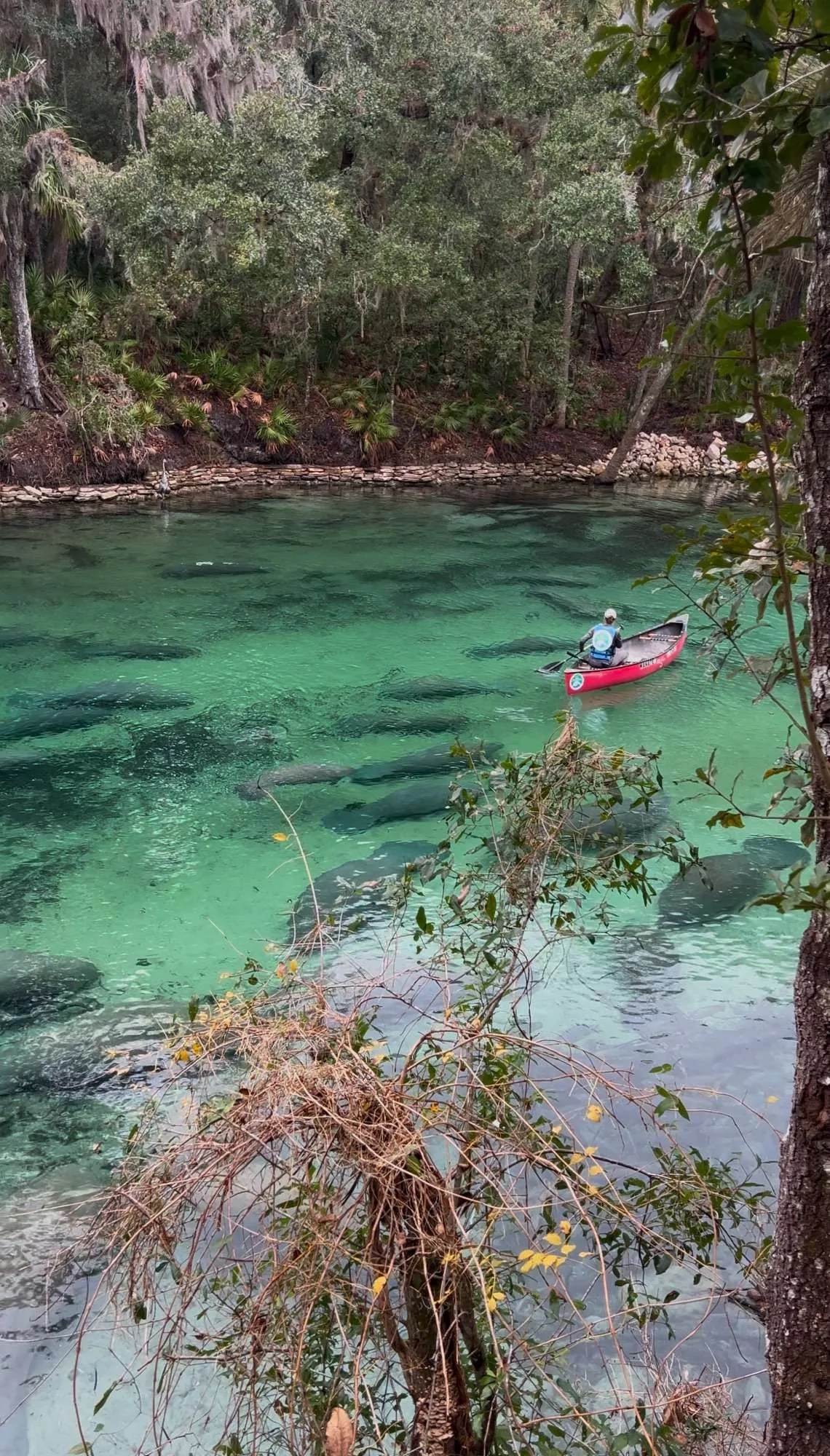 Florida in January: 15 unique activities in the perfect winter weather