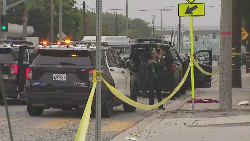 WATCH: Man appears to be arrested in background of KTLA live report