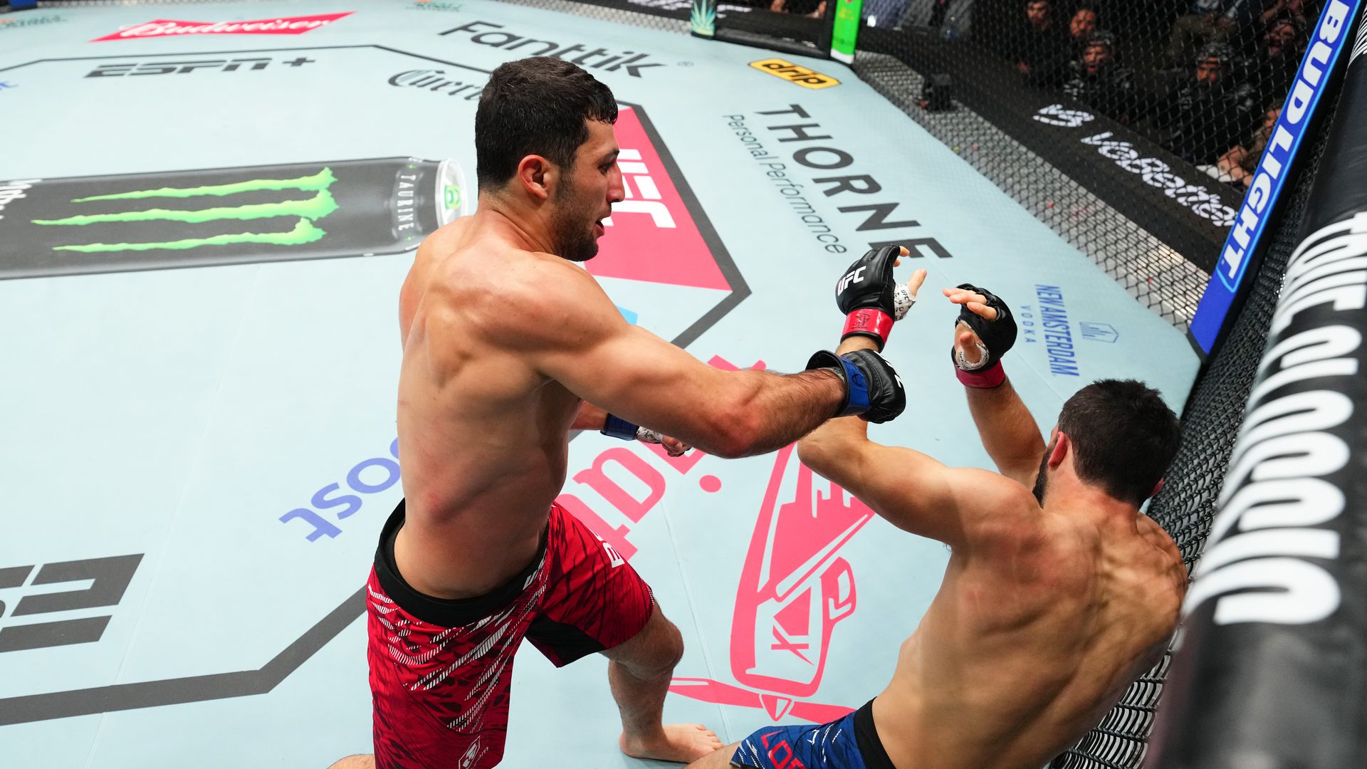 Highlights! Bekoev Blends Up TUF Winner For Violent TKO