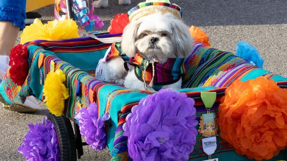 PHOTOS: 2025 Fiesta Pooch Parade