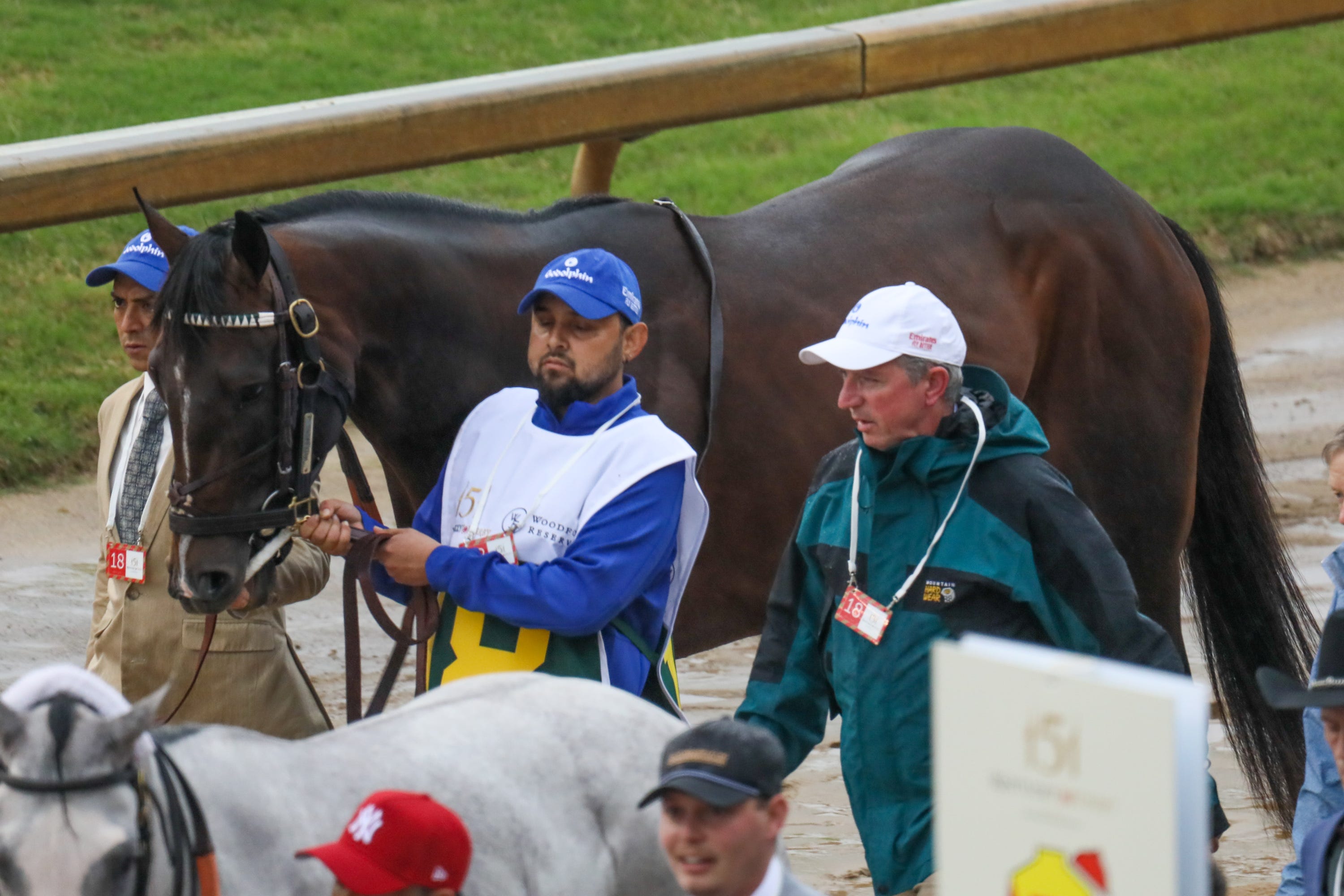 Sovereignty's Kentucky Derby 2025 win leads to record for Into Mischief ...