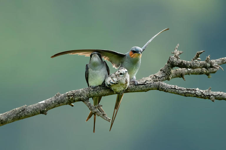 Book Review: The Viewfinder By Sanket Reddy – Exploring Wilderness And ...