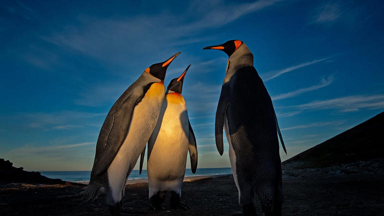 Book Review: The Viewfinder By Sanket Reddy – Exploring Wilderness And ...