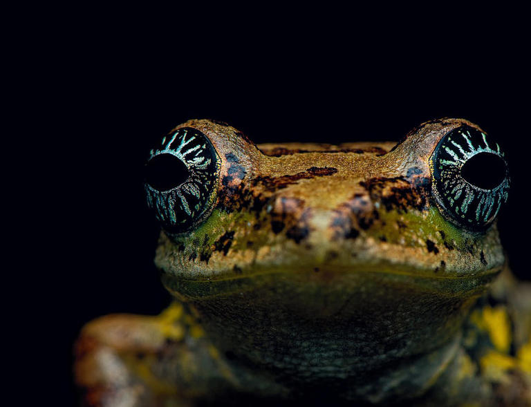 Book Review: The Viewfinder By Sanket Reddy – Exploring Wilderness And ...