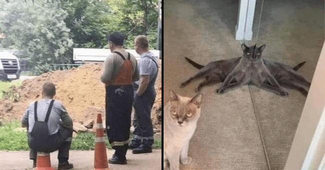 ‘I Spy With My Little Eye...’ : 28 Unusual and Confusing Perspectives ...