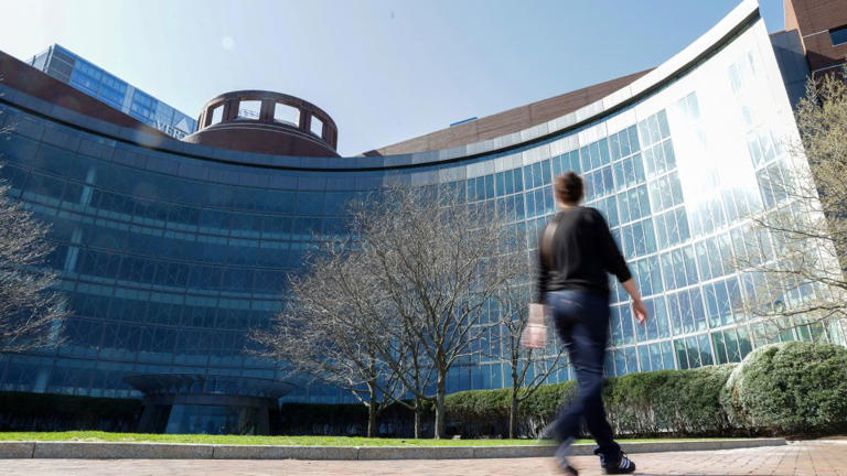 Harvard is taking the Trump administration to court. The judge ...