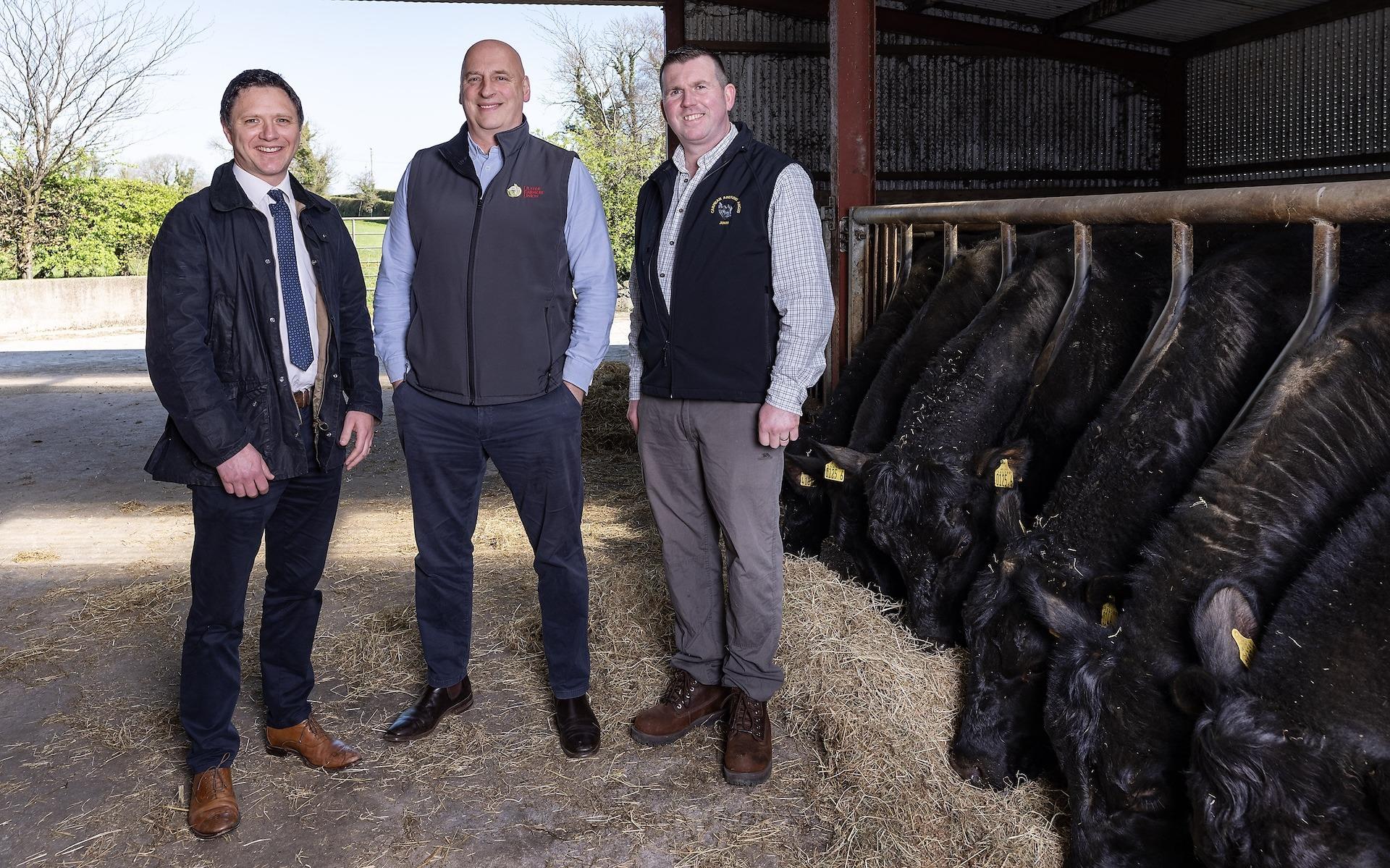Enjoy Farm Quality Assured Beef and Lamb at Bank of Ireland Open Farm ...