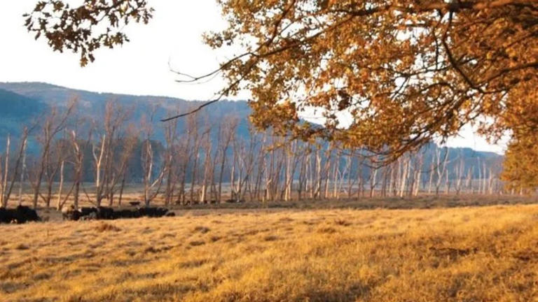 New iNkonjane Nature Reserve established in KwaZulu-Natal to protect ...