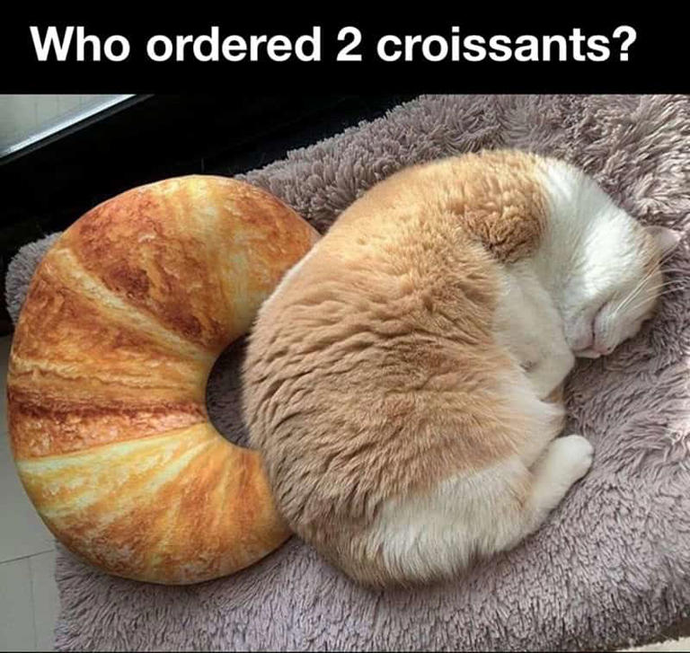 30 Funny Croissant Memes That Are Flaky, But In A Deliciously Good Way