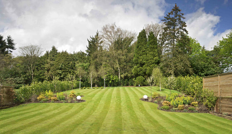 How to create perfect lawn stripes every time with these simple mowing ...