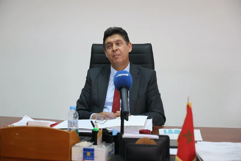 Morocco moves to overhaul stray animal policy with new legislation