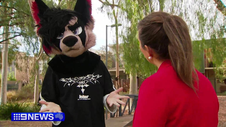 Man in animal costume attacked by trio in Adelaide