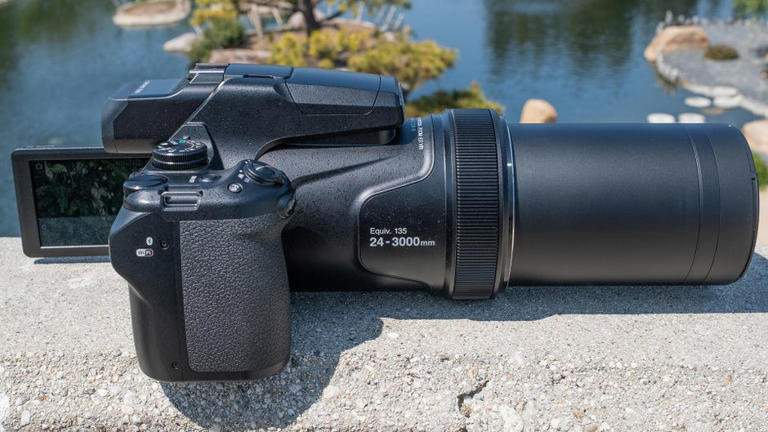 Nikon Coolpix P1100 Superzoom Camera Review: See Bird Butts From 1,000 Feet