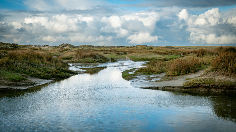The Dutch Coast's Unconventional Low-Lying Islands Offer A Serene Sandy ...