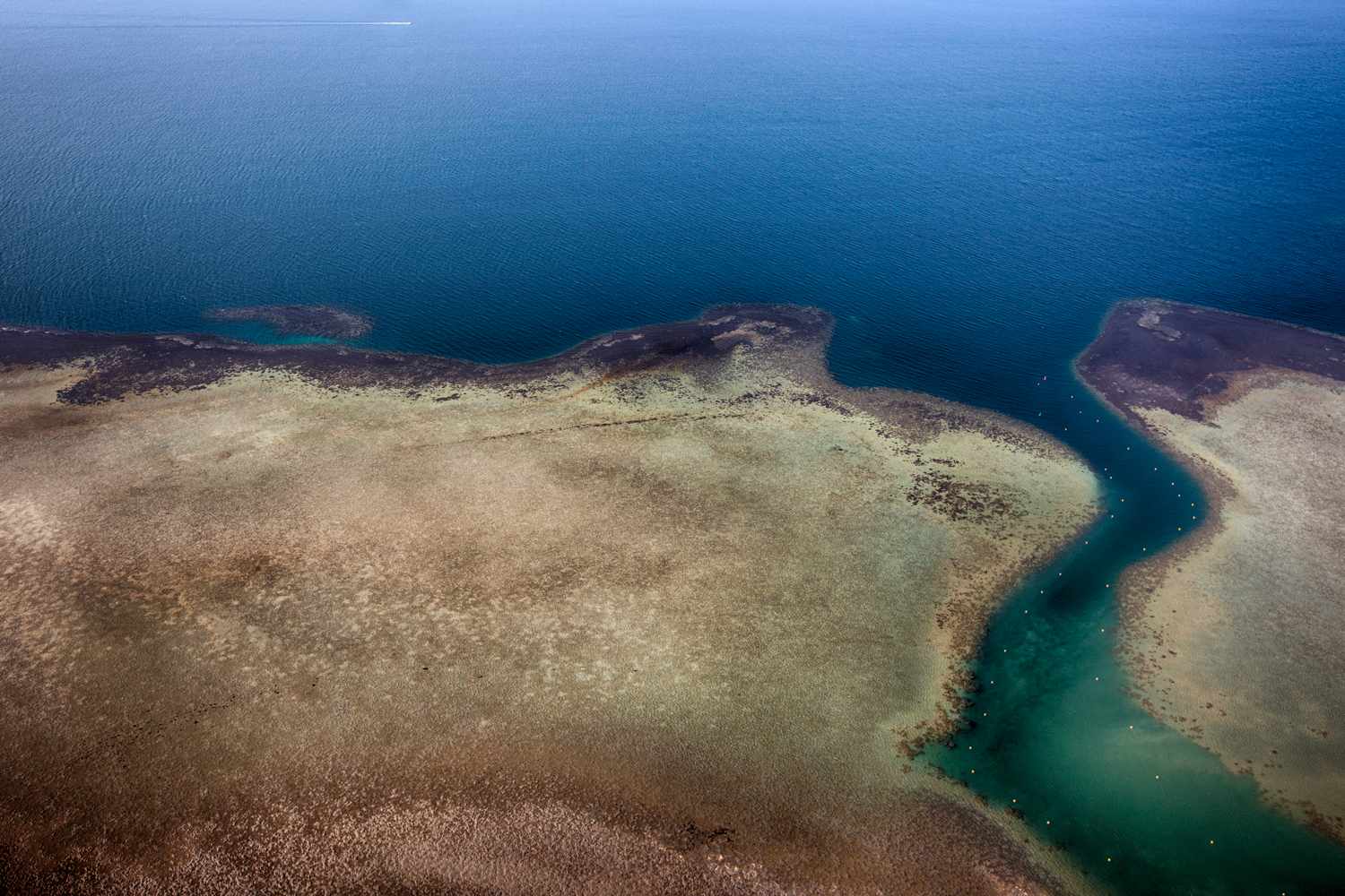 One of Earth's Continents Is Splitting Apart and May Create a Whole New ...