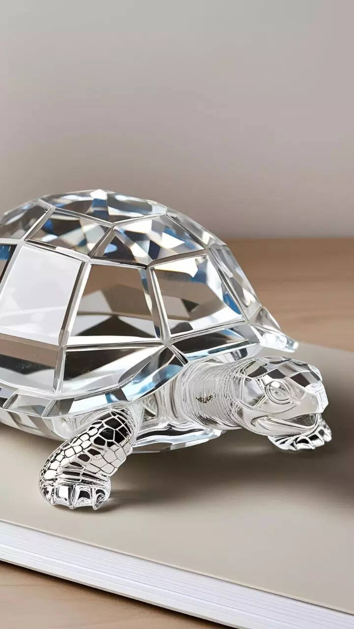 Using a Crystal tortoise as home decor? Placing it as per Vastu can ...