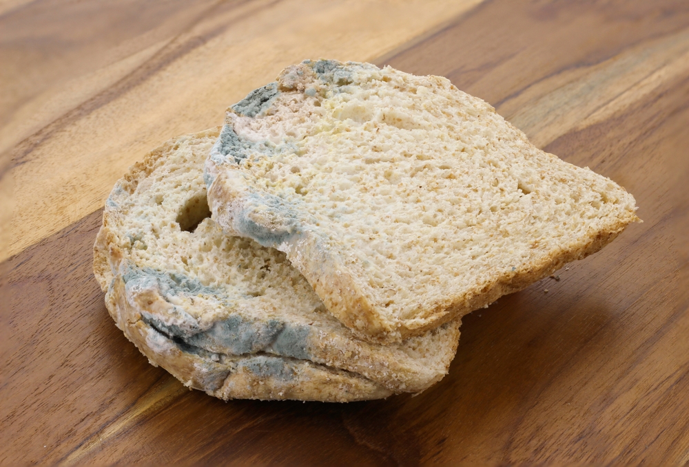6 Moldy Foods You Must Throw Out Immediately – and 3 You Can Still Eat