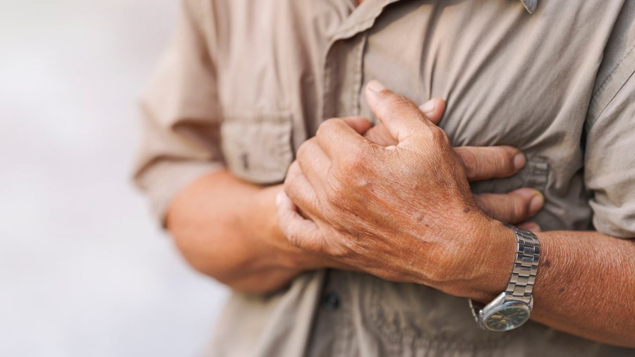 How are hypertension, heart disease and stroke related?