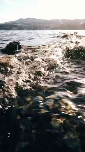 Photography Secrets: How to Capture Perfect Moments