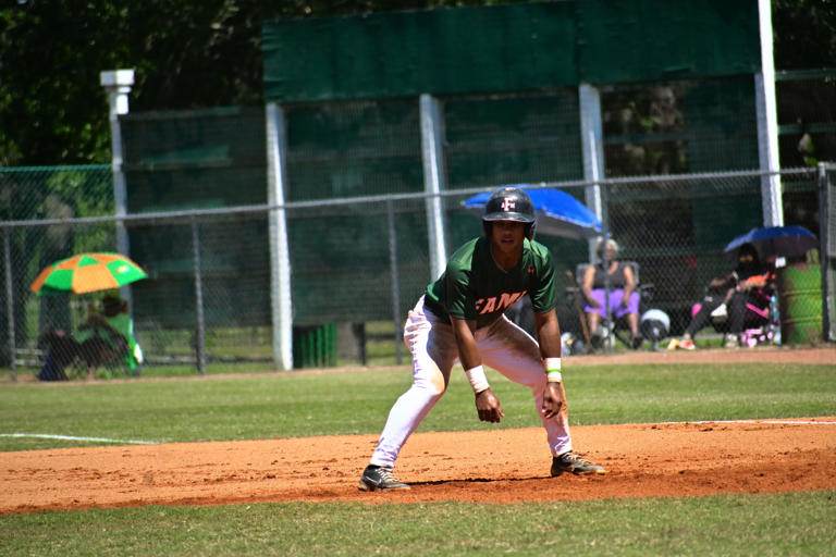 Florida A&M baseball asserts dominance in convincing SWAC sweep over ...