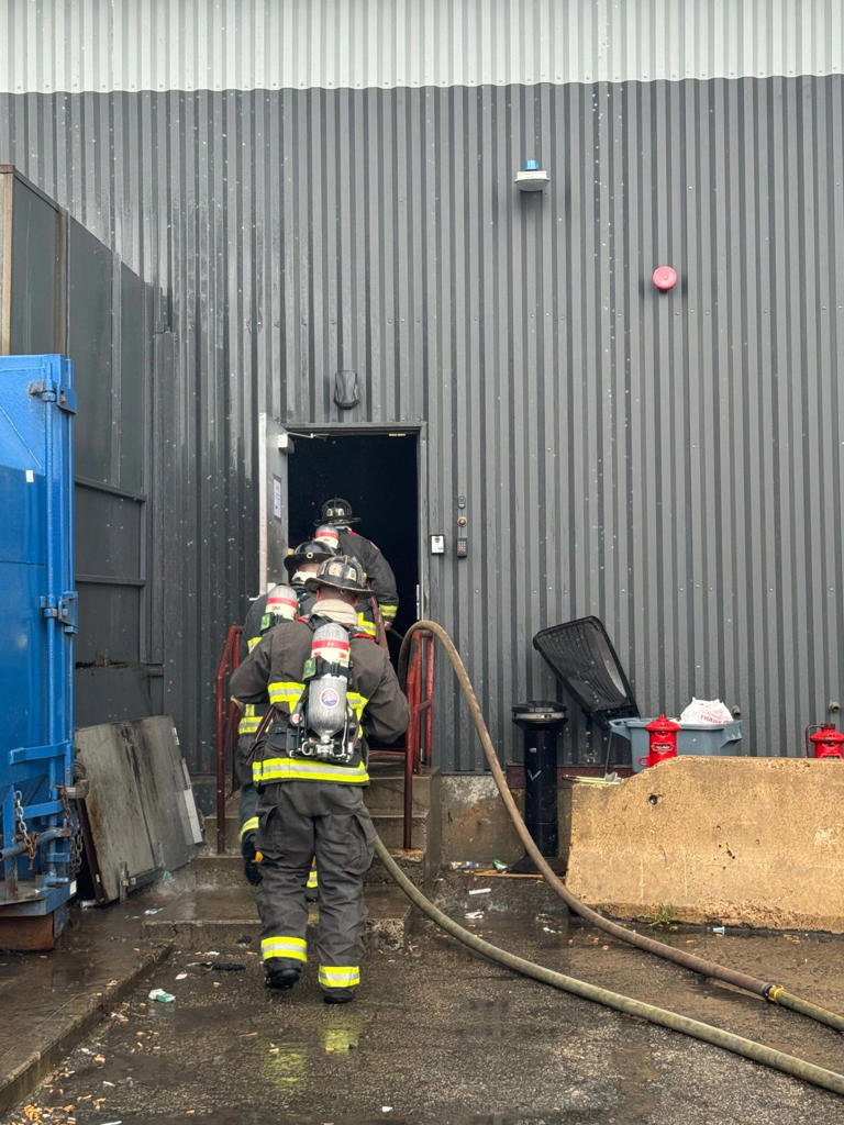 Carabineros incauta $22 mil millones en droga tras operativo que desbarató cultivo de marihuana ...