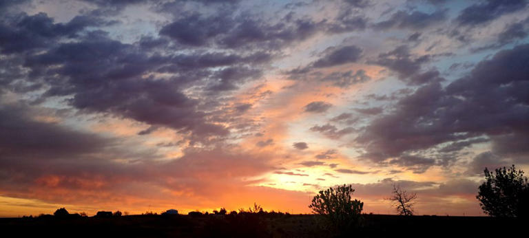 Viewer Photos of the Month: April 2025