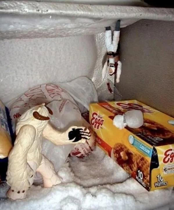 49 Funny And Random Pictures