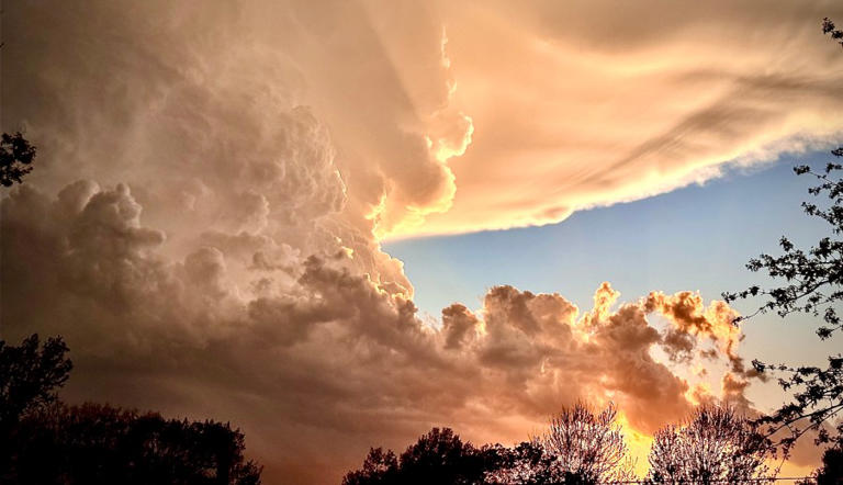 Viewer Photos of the Month: April 2025