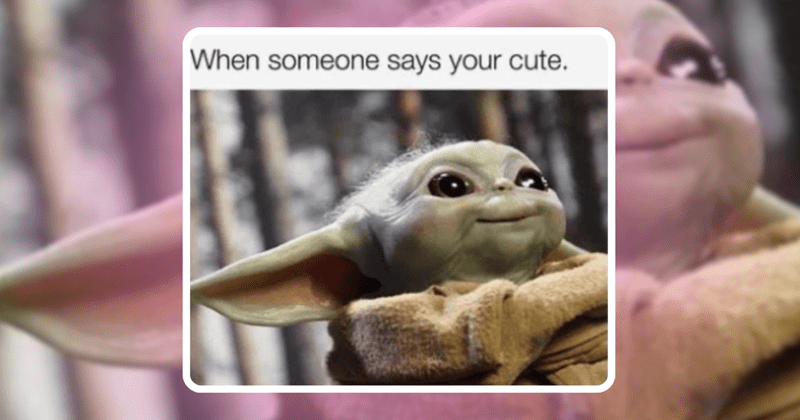 22 Adorable Baby Yoda Memes That Trigger Your Motherly Instinct (May ...