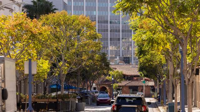 Man faces more than 15 years in prison after chainsaw rampage destroys ...